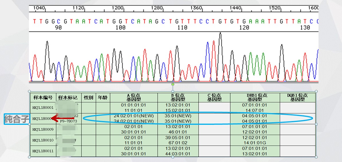 HLA分型检测 苏州核型检测机构-华科鉴联基因科技（北京）有限公司公司